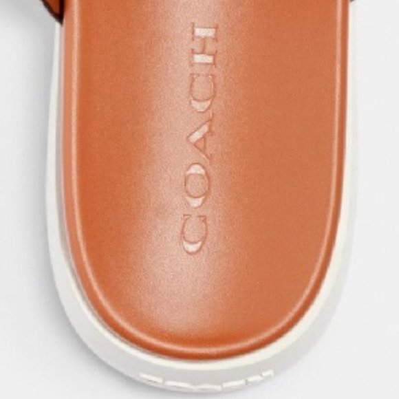 Coach | Shoes | New Coach Khakisaddle Gable Sandal | Poshmark